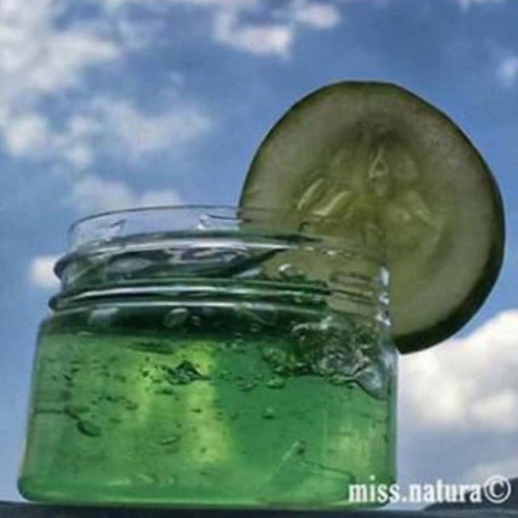 Cucumber Gel | missnatura.in