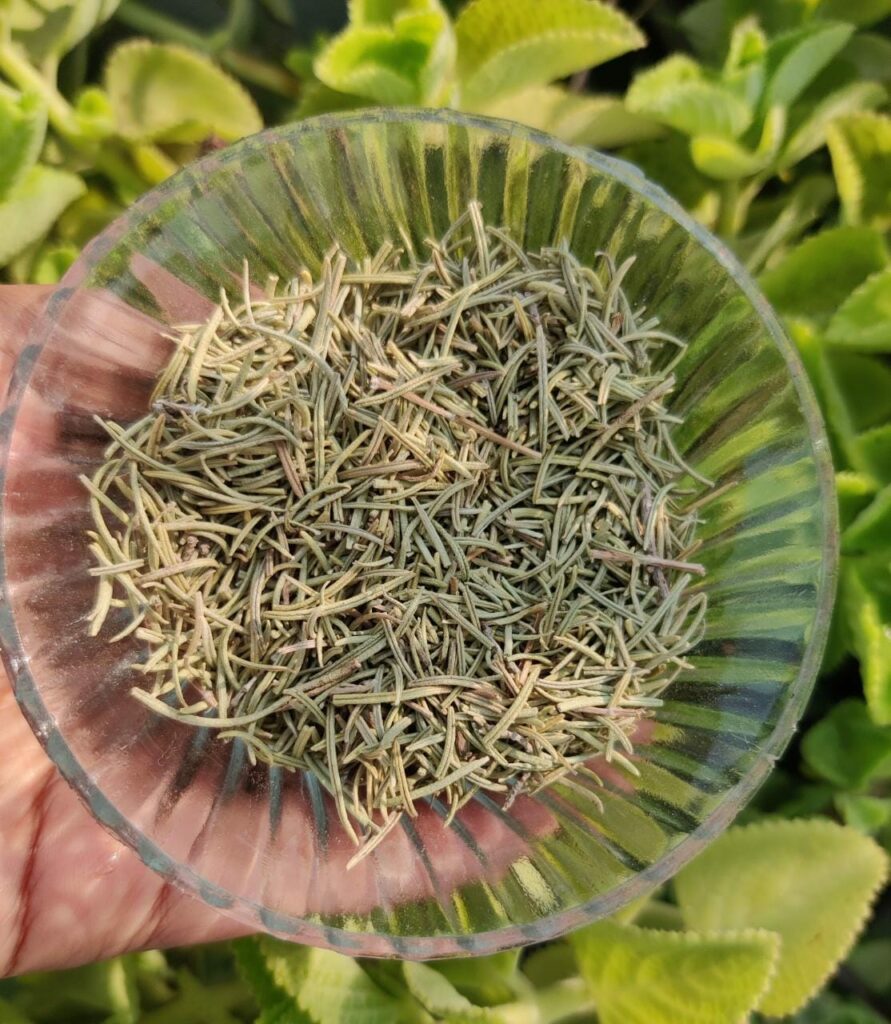 Dried rosemary leaves-100g | missnatura.in